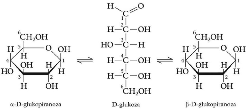 glukoza - Hrvatska enciklopedija