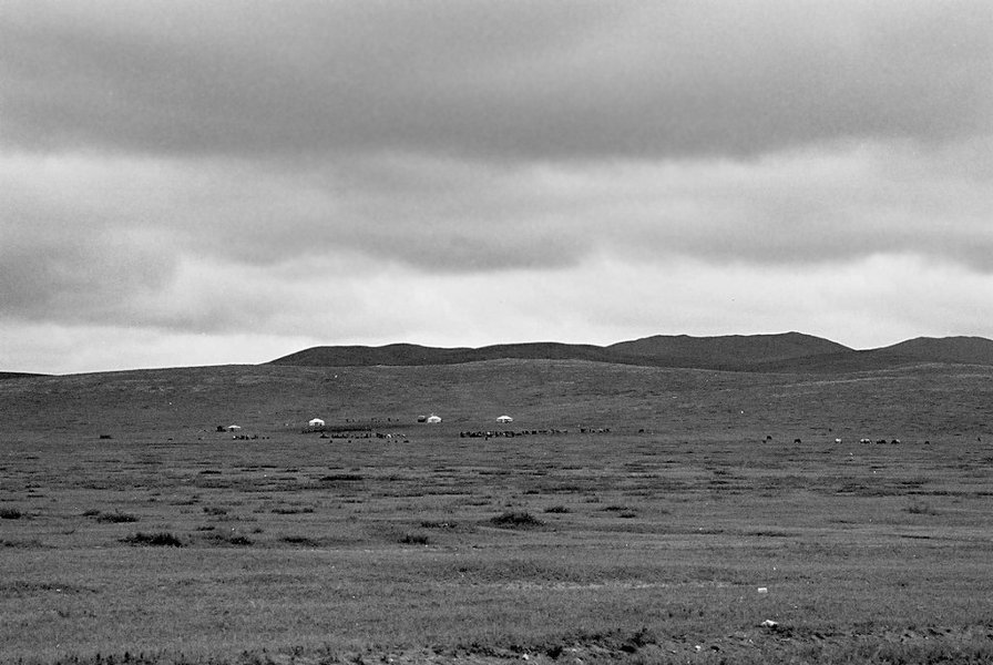 stepa - Hrvatska enciklopedija