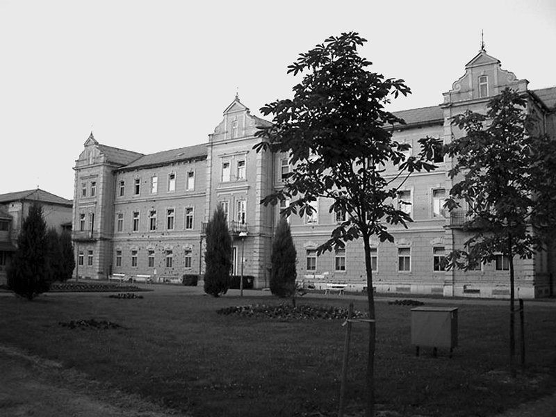 Slavonija - Hrvatska enciklopedija