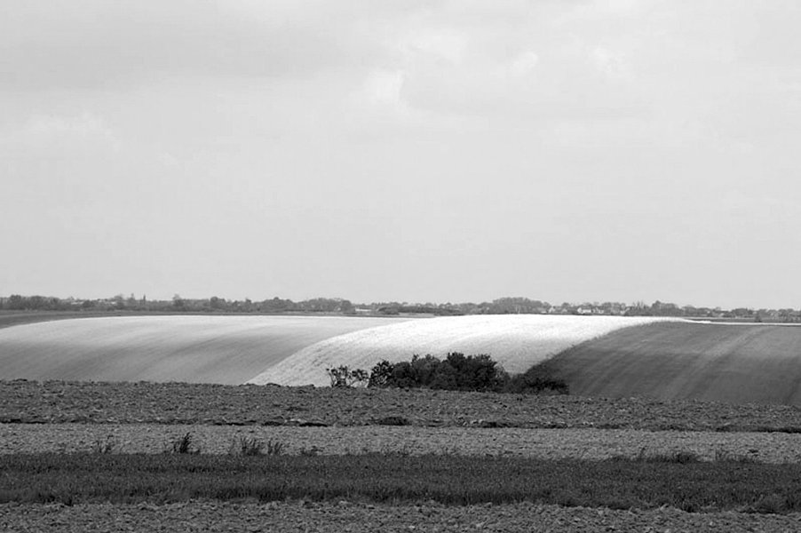 Slavonija - Hrvatska enciklopedija