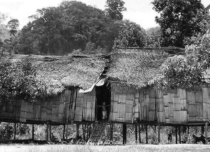 sojenice - Hrvatska enciklopedija