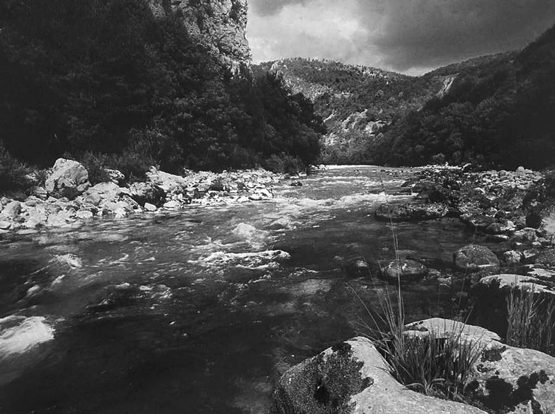 Tara - Hrvatska enciklopedija