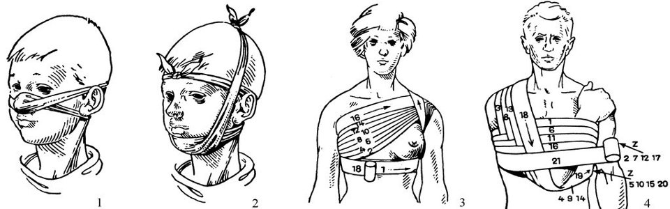 zavoj - Hrvatska enciklopedija