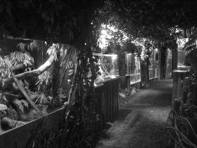 zoološki vrt - Hrvatska enciklopedija