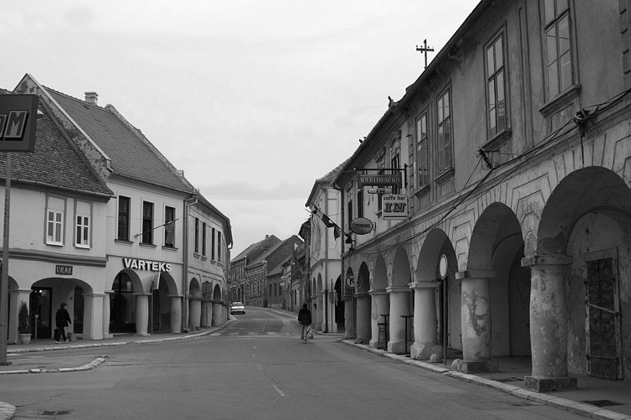 Vukovar - Hrvatska enciklopedija