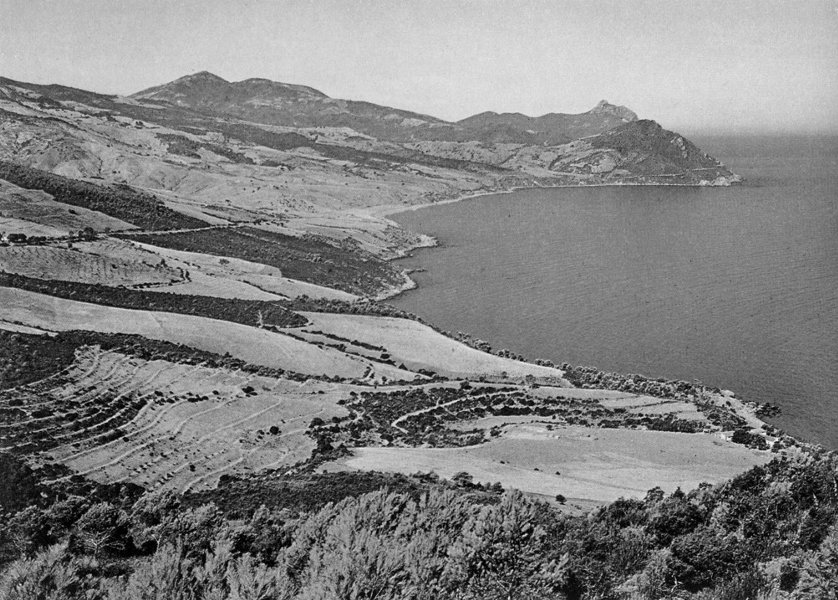 Alžir - Hrvatska enciklopedija