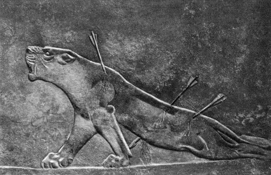 Asirija - Hrvatska enciklopedija