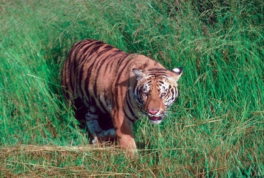 Azija - Hrvatska enciklopedija