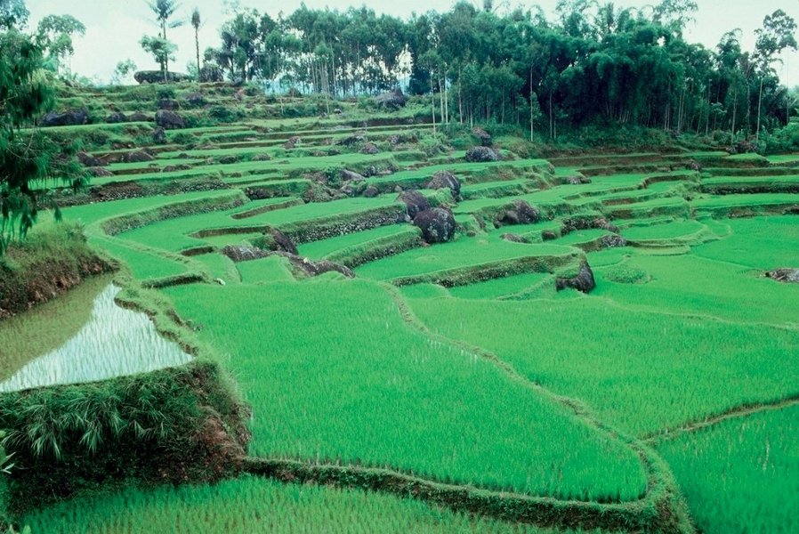 Azija - Hrvatska enciklopedija