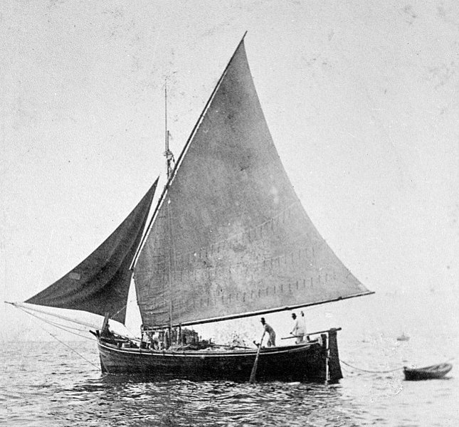 bracera - Hrvatska enciklopedija