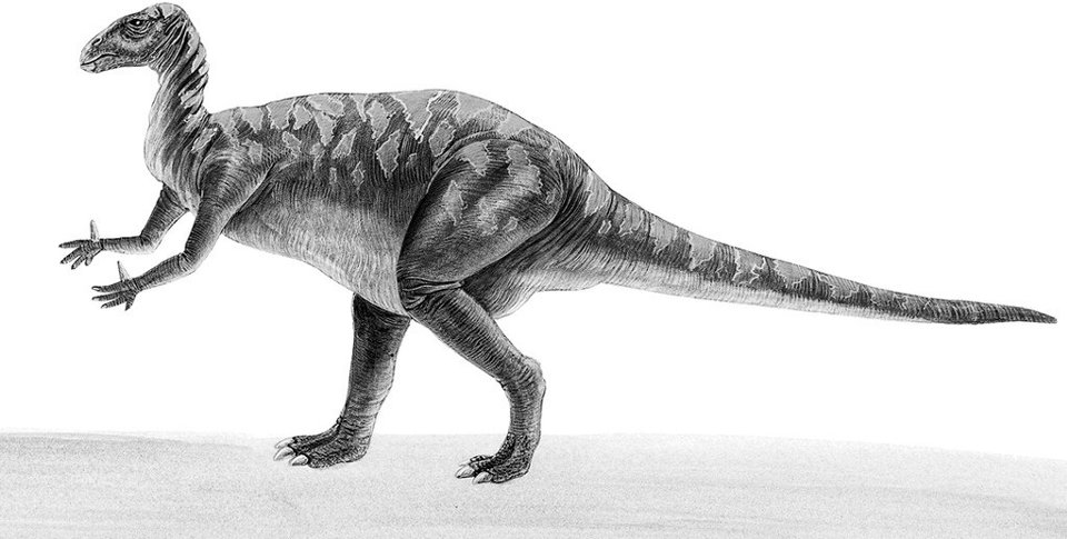 dinosauri - Hrvatska enciklopedija