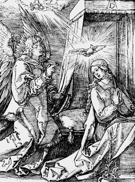 drvorez - Hrvatska enciklopedija