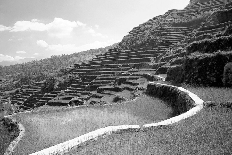 Filipini - Hrvatska enciklopedija