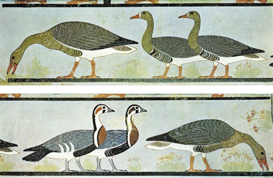 Egipat - Hrvatska enciklopedija