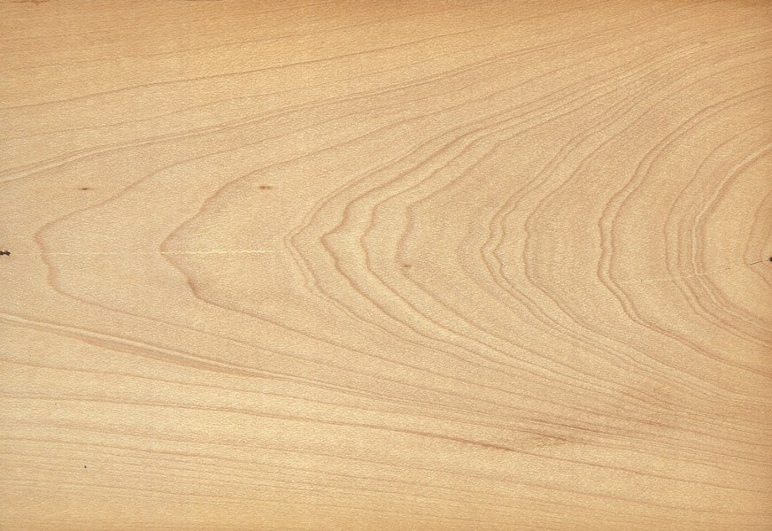 drvo - Hrvatska enciklopedija