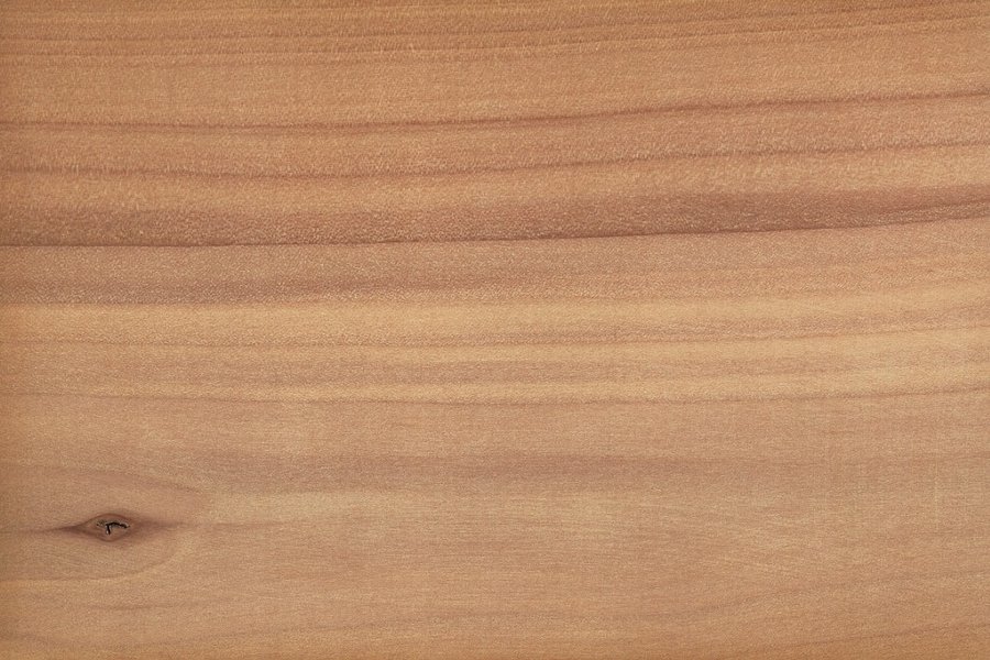 drvo - Hrvatska enciklopedija