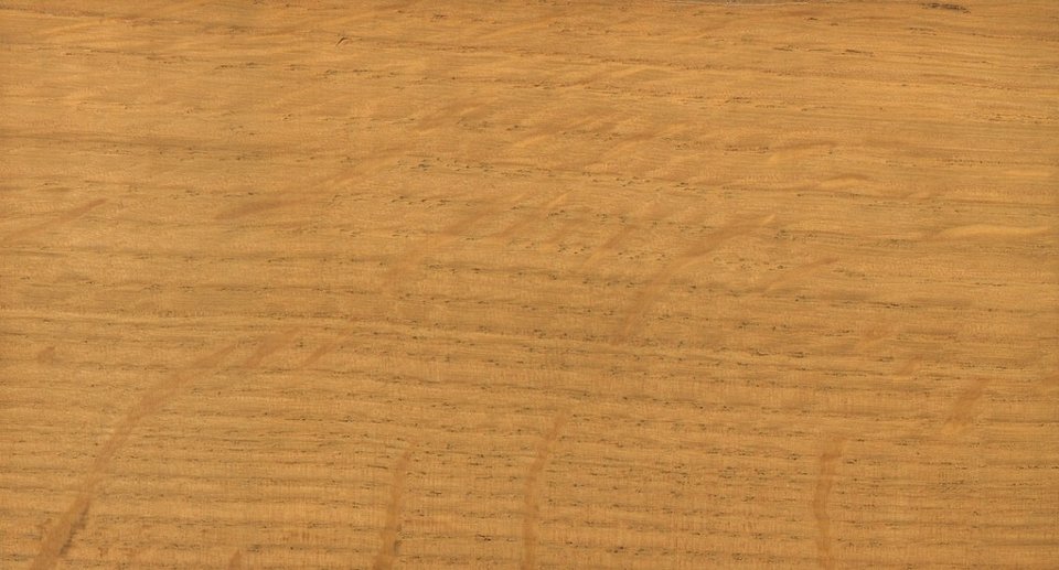 drvo - Hrvatska enciklopedija