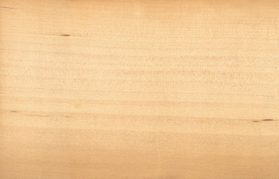 drvo - Hrvatska enciklopedija