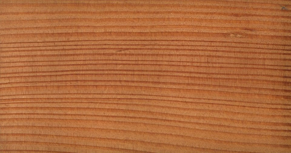 drvo - Hrvatska enciklopedija