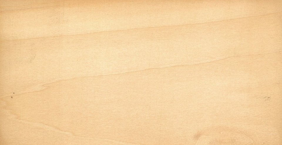 drvo - Hrvatska enciklopedija