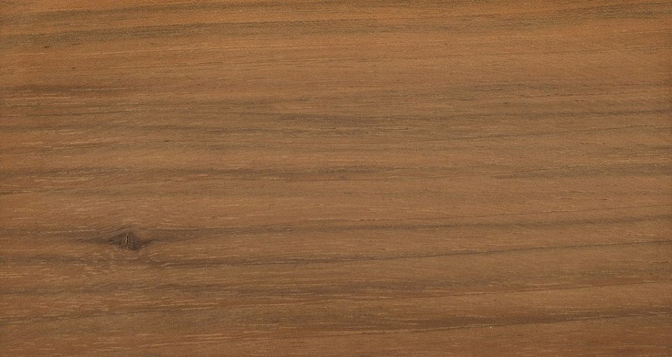 drvo - Hrvatska enciklopedija