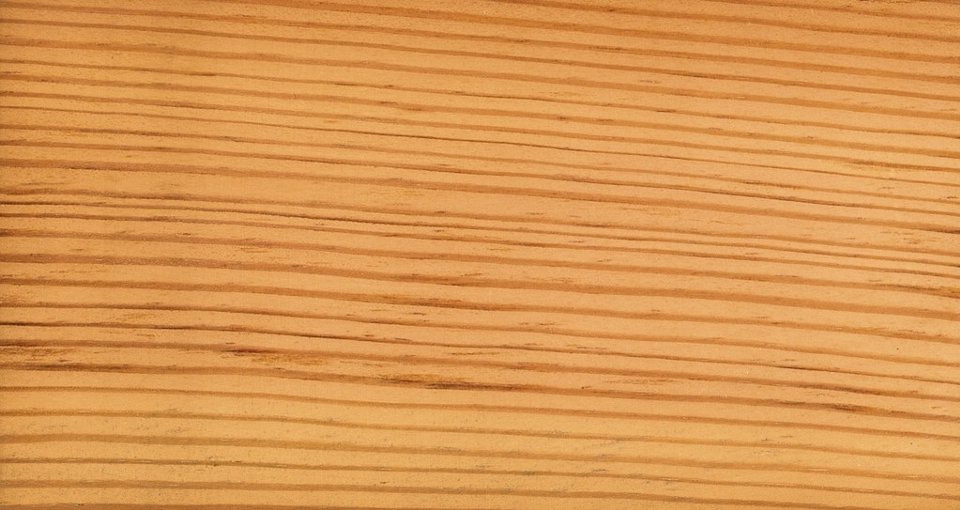 drvo - Hrvatska enciklopedija