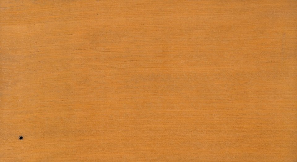 drvo - Hrvatska enciklopedija