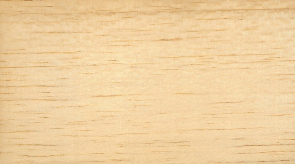 drvo - Hrvatska enciklopedija