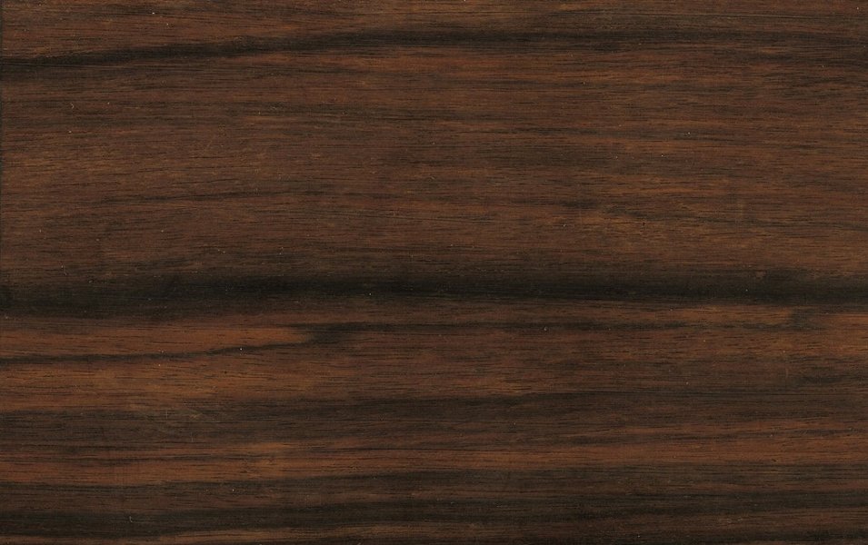 drvo - Hrvatska enciklopedija