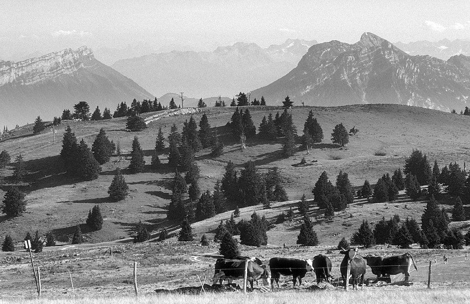 Francuska - Hrvatska enciklopedija