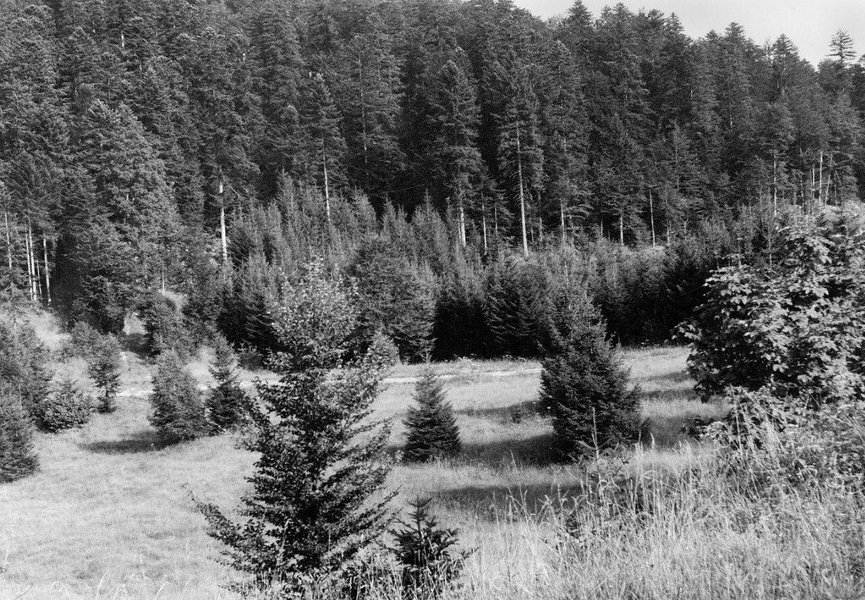 Hrvatska - Hrvatska enciklopedija