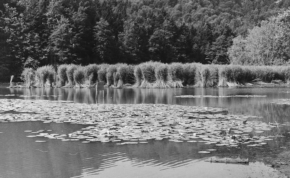 Hrvatska - Hrvatska enciklopedija