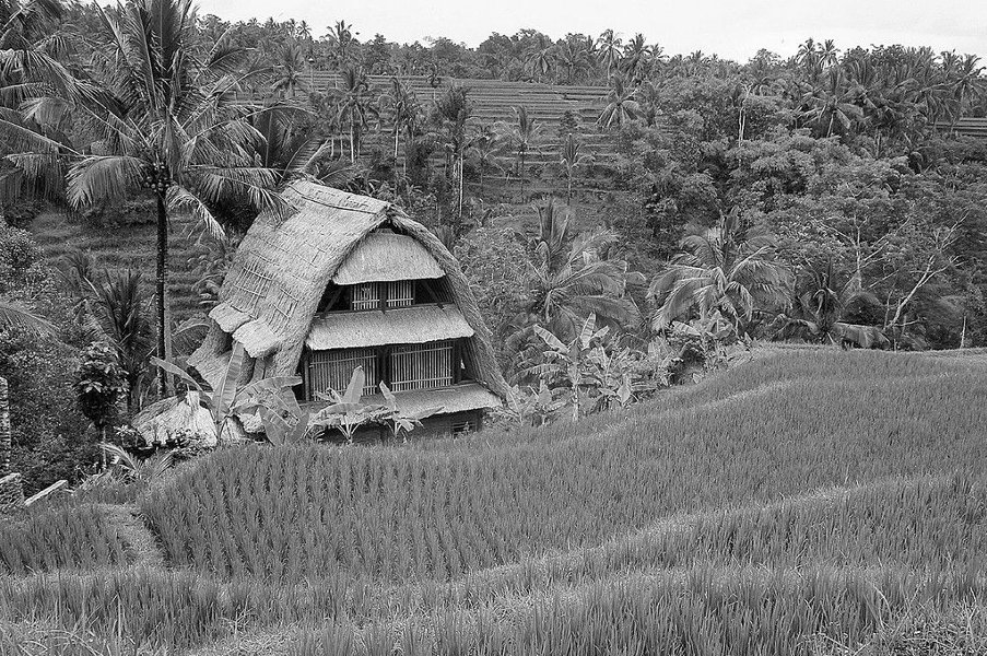 Indonezija - Hrvatska enciklopedija