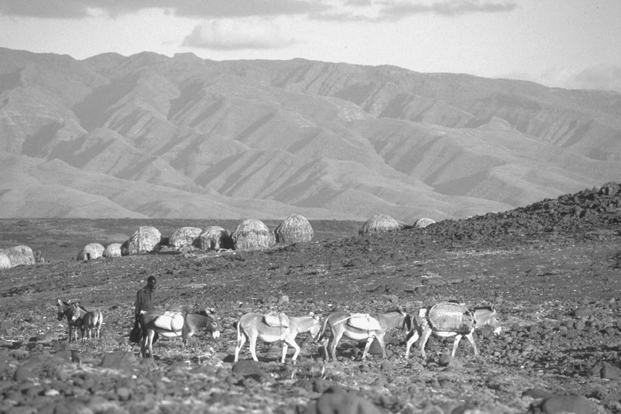 Kenija - Hrvatska enciklopedija