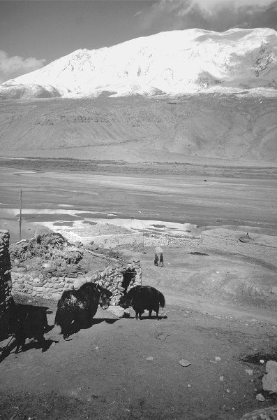 Kina - Hrvatska enciklopedija