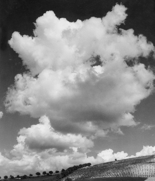 kumulus - Hrvatska enciklopedija