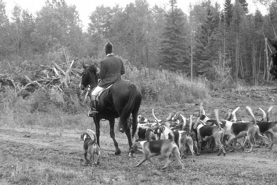 lov - Hrvatska enciklopedija