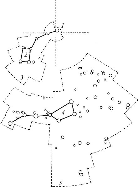 Mali medvjed - Hrvatska enciklopedija
