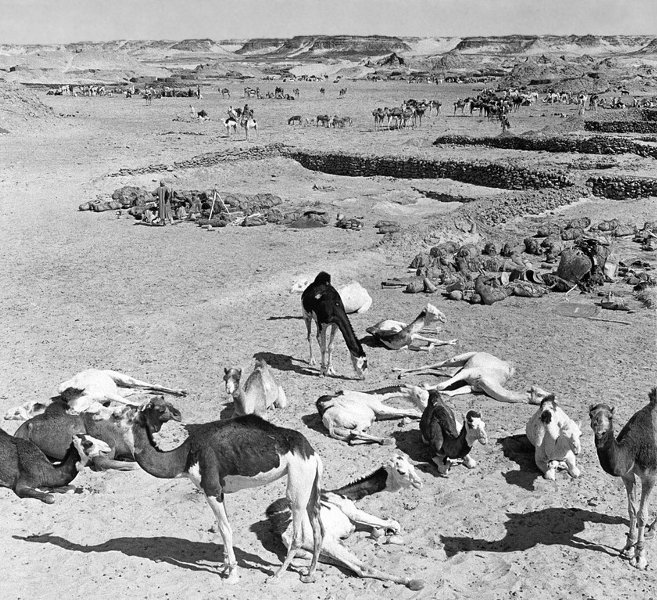 Niger - Hrvatska enciklopedija