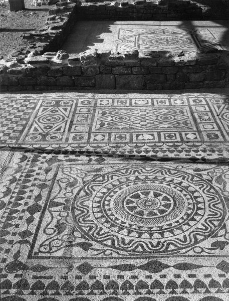 Risan - Hrvatska enciklopedija