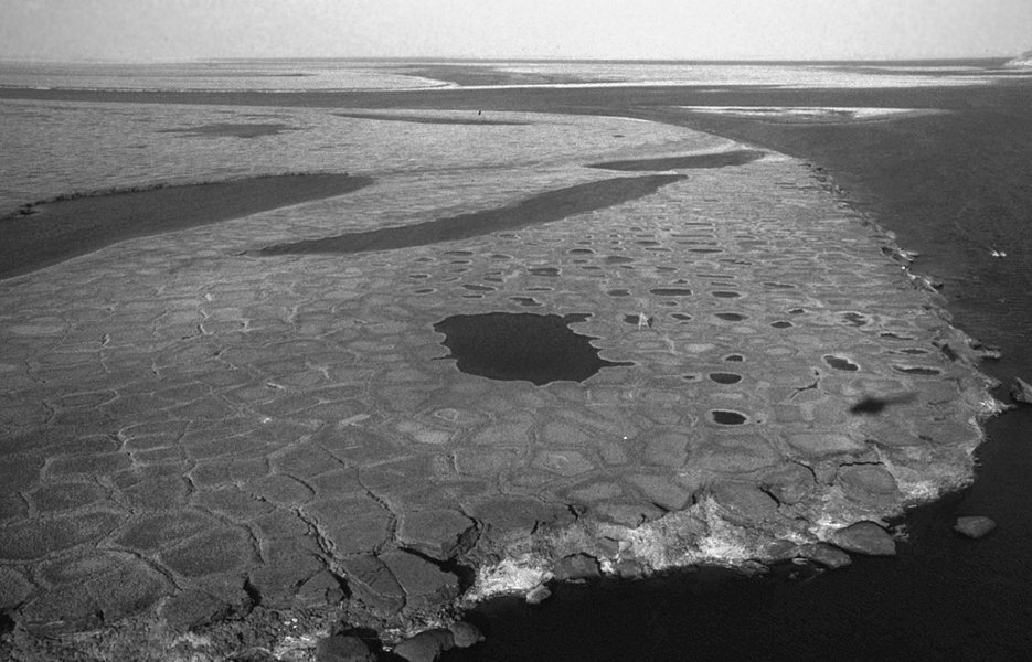 Rusija - Hrvatska enciklopedija