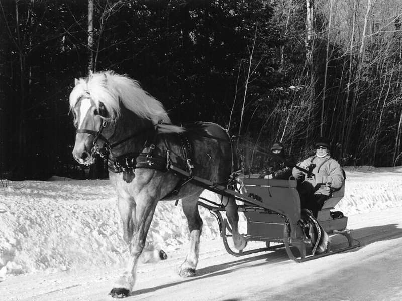 saonice - Hrvatska enciklopedija