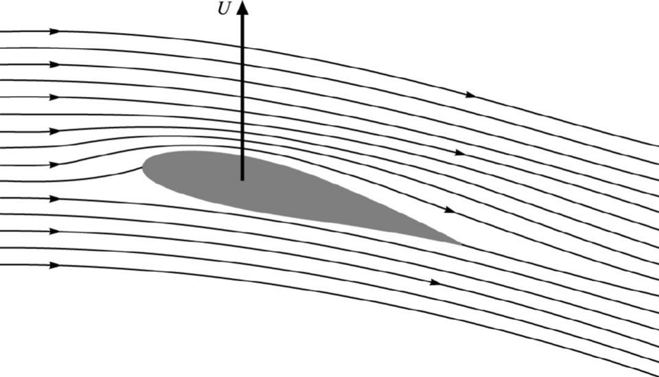 krilo - Hrvatska enciklopedija