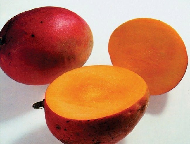 voće - Hrvatska enciklopedija