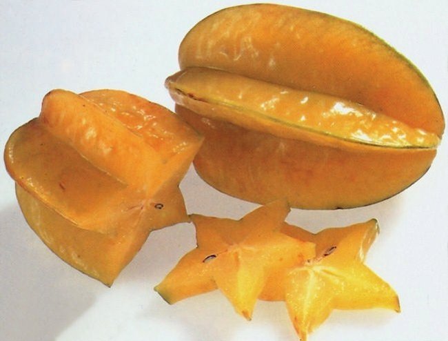 voće - Hrvatska enciklopedija