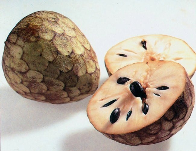 voće - Hrvatska enciklopedija