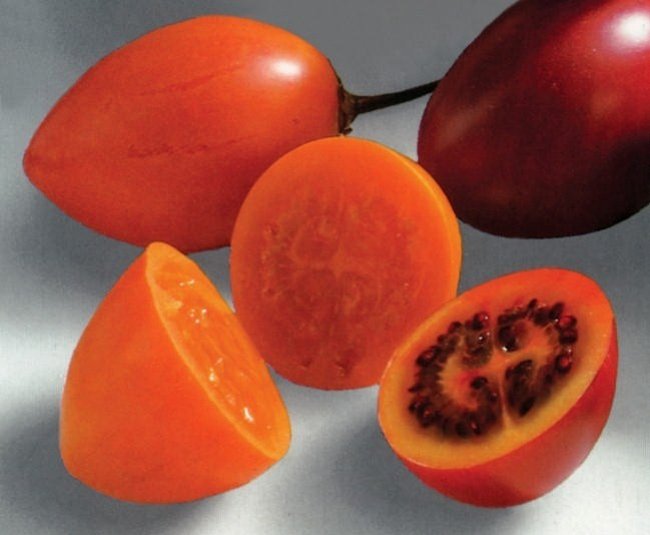 voće - Hrvatska enciklopedija