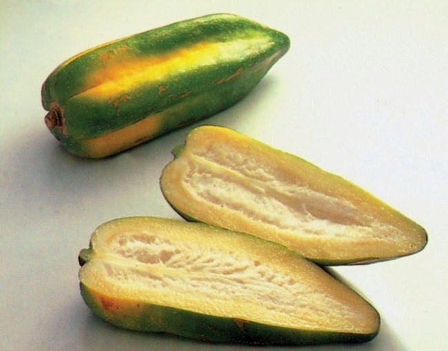 voće - Hrvatska enciklopedija