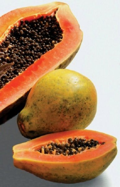 voće - Hrvatska enciklopedija