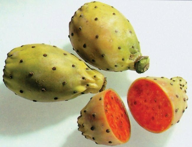 voće - Hrvatska enciklopedija